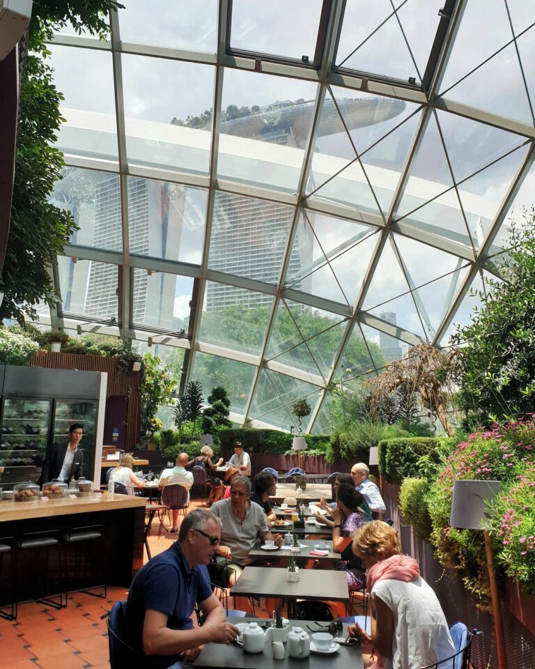 10 Gorgeous Restaurants In Parks, Including Pet-Friendly Cafes For Your ...