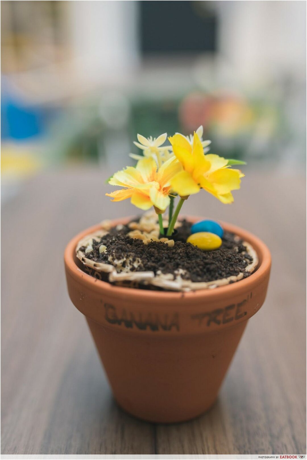 Banana Tree Review: Win Bae Over With A Pretty Flower Pot Bingsu On ...