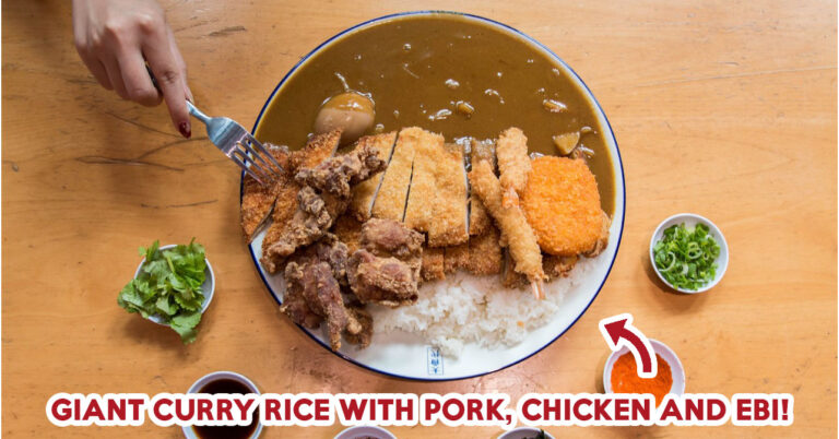 Cheok Kee Review: Famous Braised Duck Rice In Geylang Bahru | Eatbook.sg