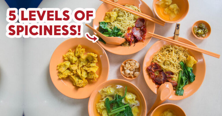 Sia Kee Duck Rice Review: Famous Duck Rice With 44-Year-Old Braise In ...