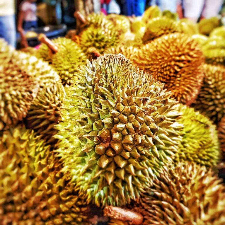 Free Durians Given Out At Tampines And Balestier Due To Oversupply Of ...