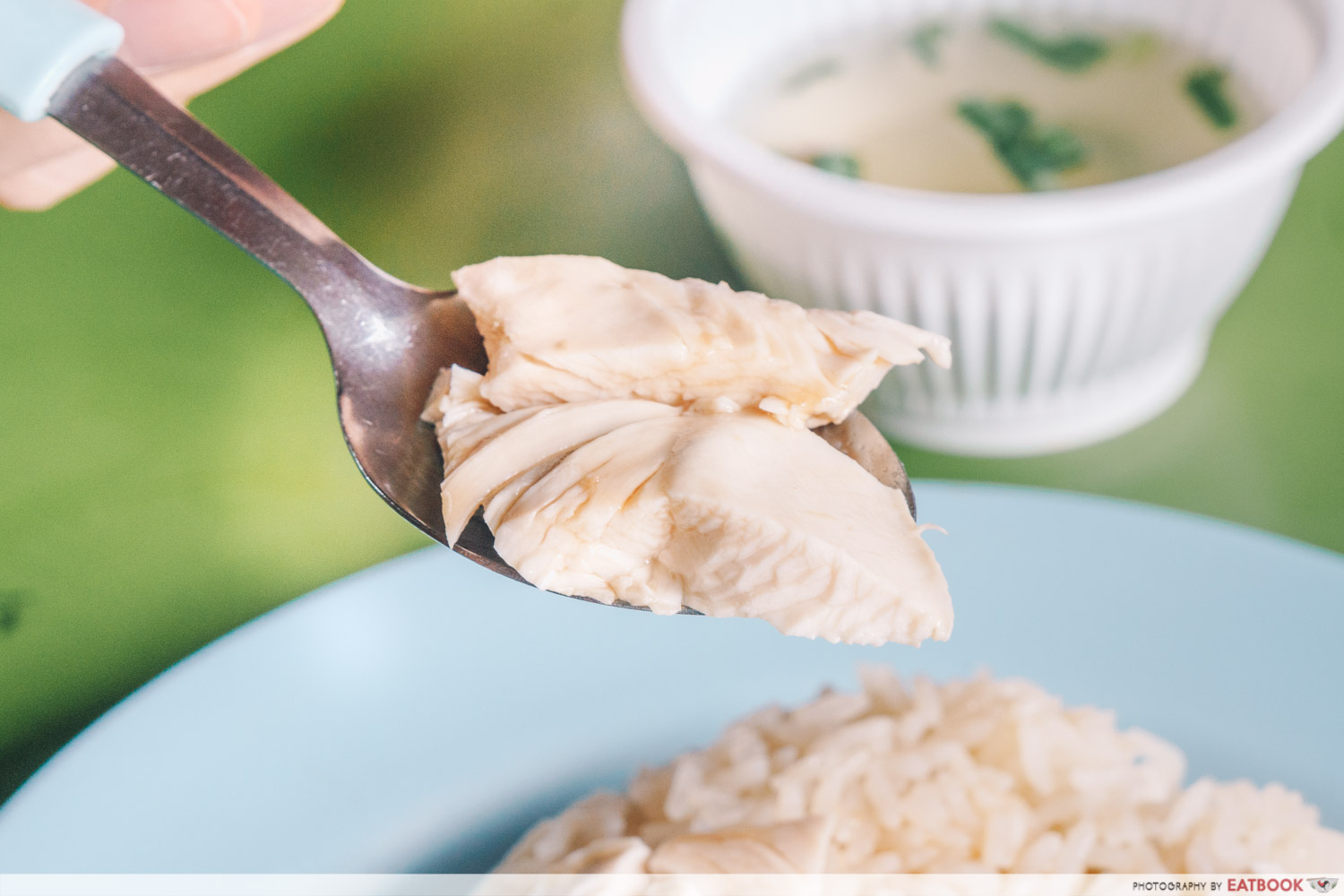 10 Best Chicken Rice In Singapore Ranked | Eatbook.sg