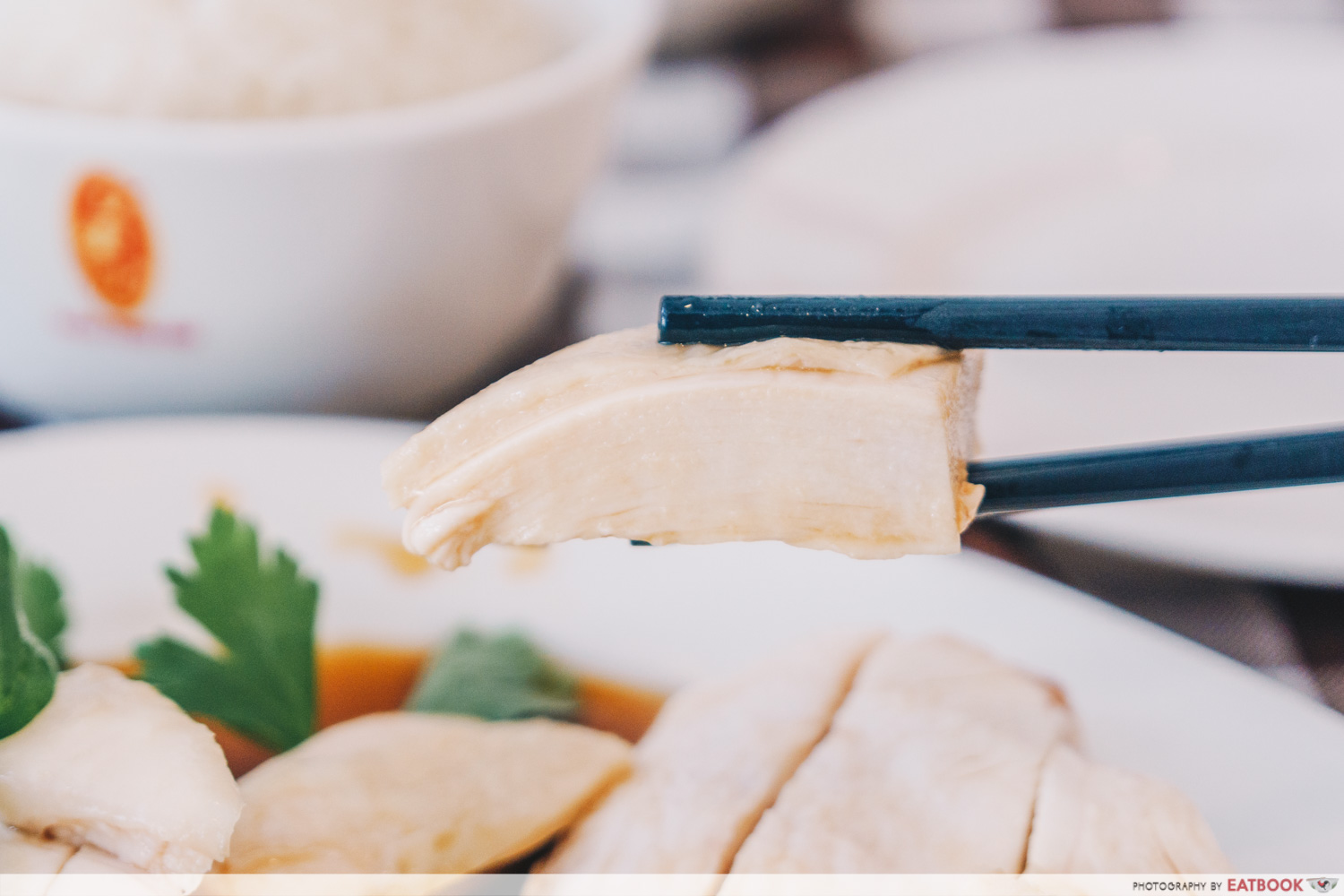 10 Best Chicken Rice In Singapore Ranked | Eatbook.sg