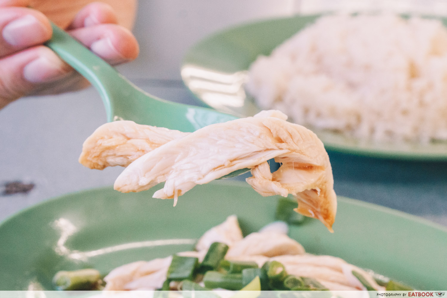 10 Best Chicken Rice In Singapore Ranked | Eatbook.sg
