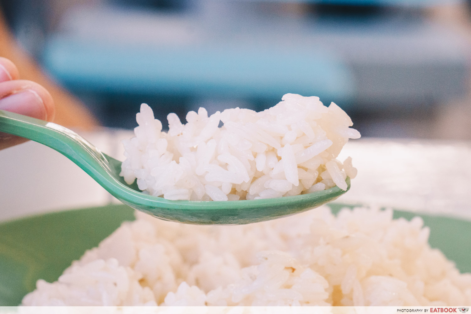 10 Best Chicken Rice In Singapore Ranked | Eatbook.sg