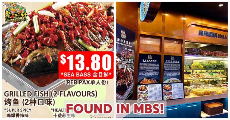 Frog Meat Fish Head: Hotpot Buffet At Chinatown With Free-Flow Bubble ...