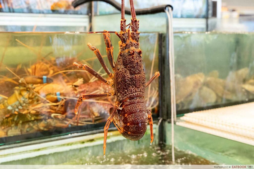 Orchid Live Seafood Review: Teochew-Style Lobster Porridge And Salted ...