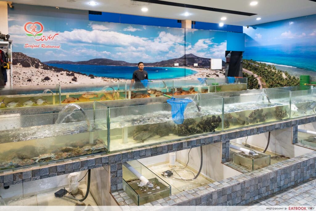 Love Seafood Batam Centre: Affordable Live Seafood Restaurant In Batam ...