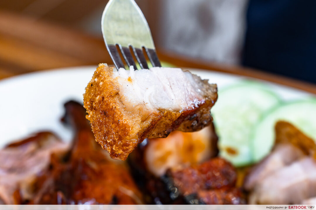 88 Hong Kong Roast Meat Specialist Review | Eatbook.sg