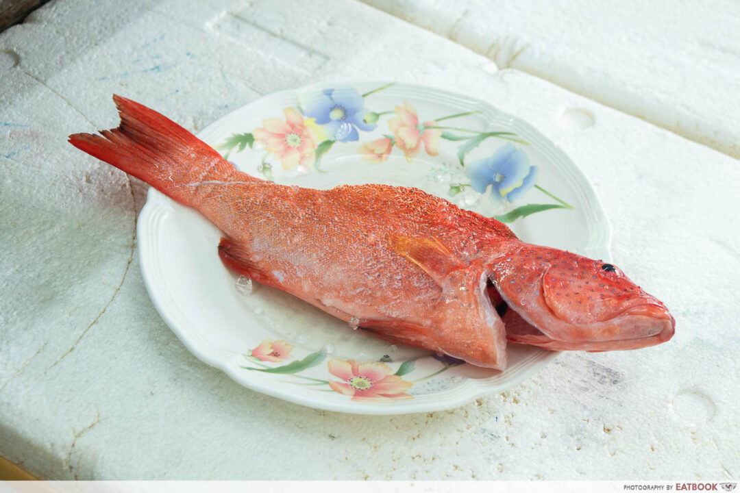 Zai Shun Curry Fish Head Review: Michelin-Approved Curry And Steamed ...