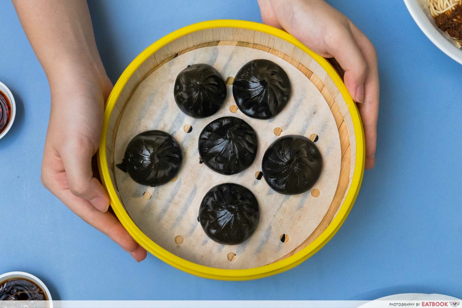 Shang Hai Fried Xiao Long Bao Review | Eatbook.sg