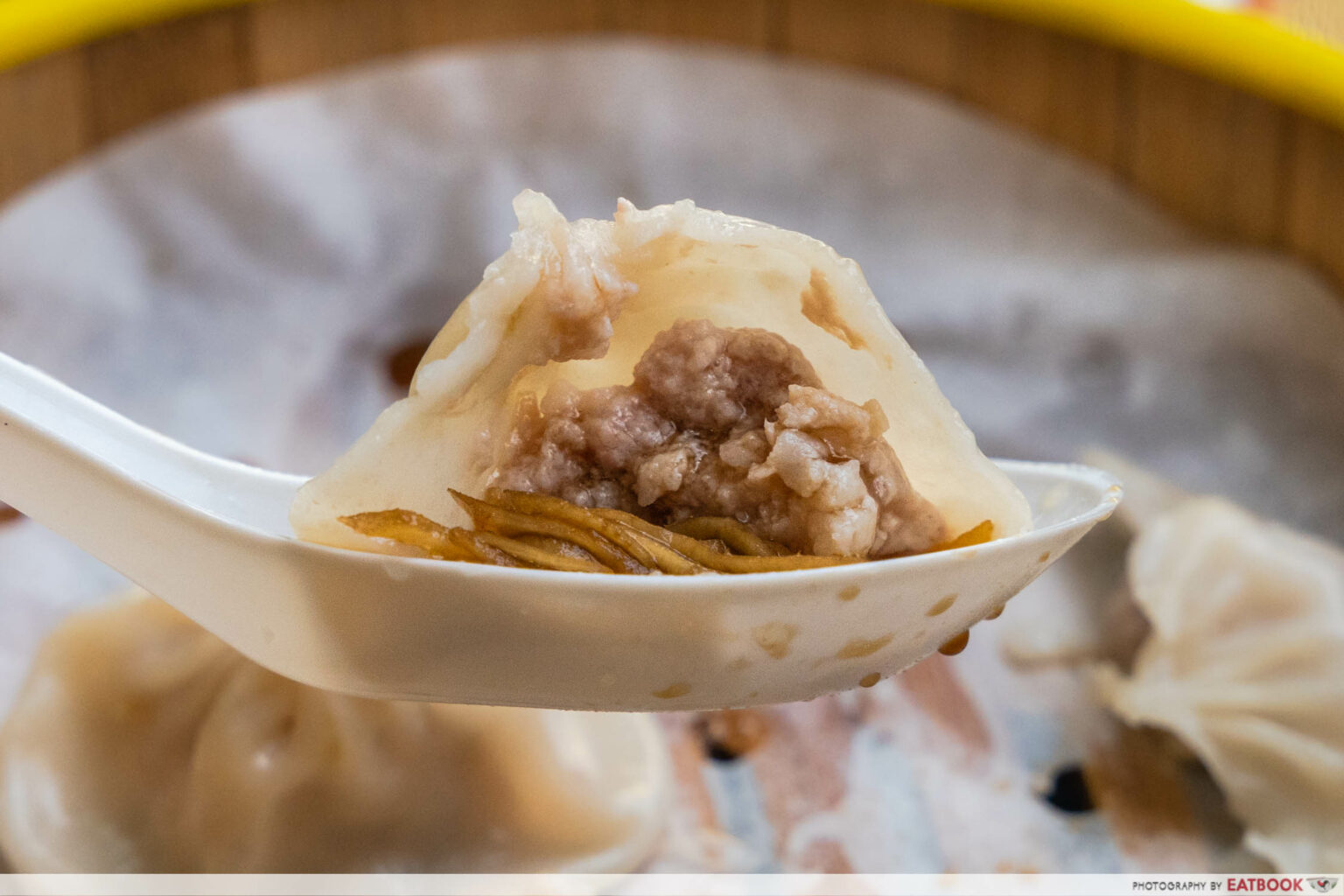 Shang Hai Fried Xiao Long Bao Review | Eatbook.sg