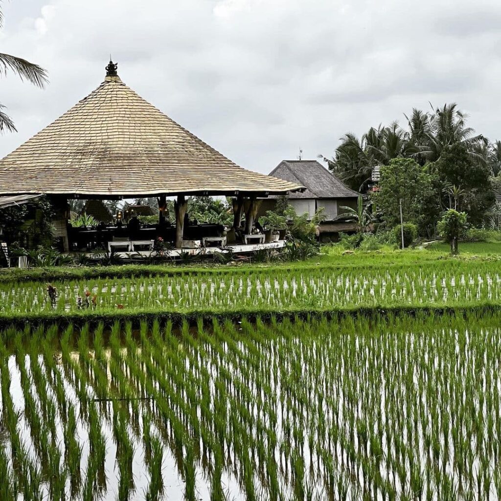 8 Beautiful Bali Cafes With A View | Eatbook.sg