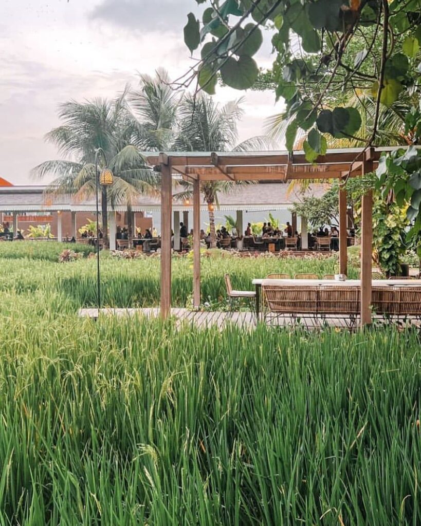 8 Beautiful Bali Cafes With A View | Eatbook.sg