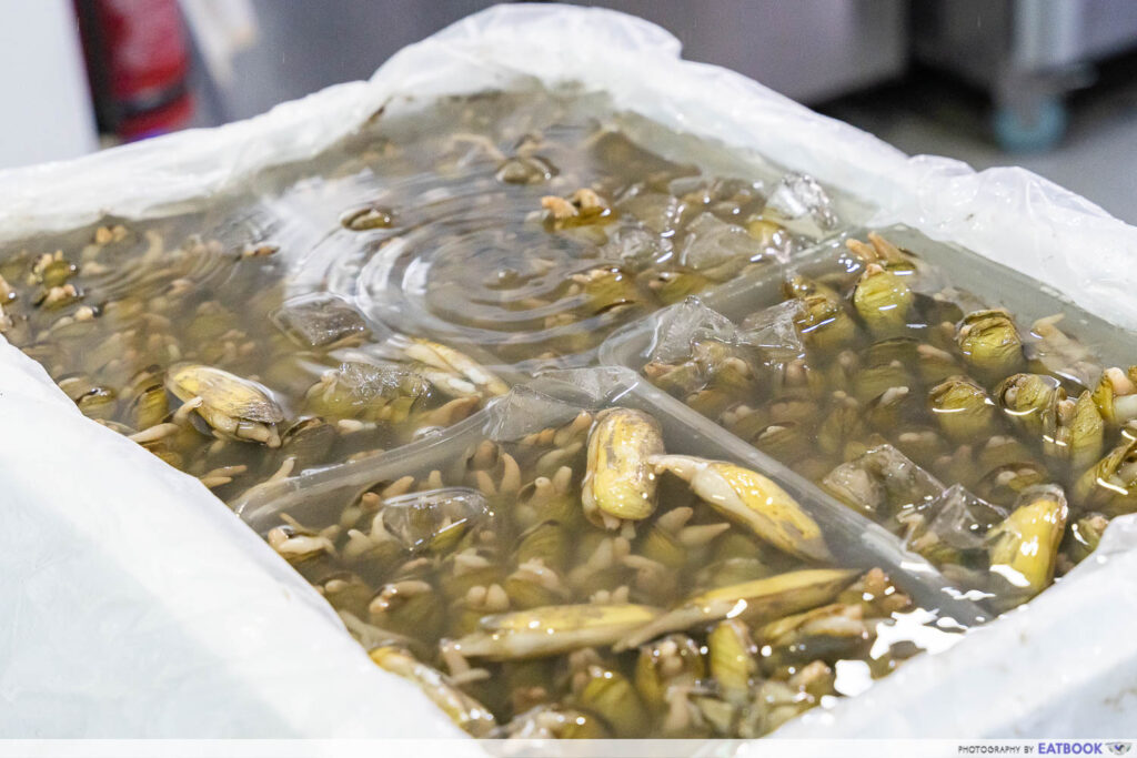 PUTIEN Popular Duotou Clams Return | Eatbook.sg