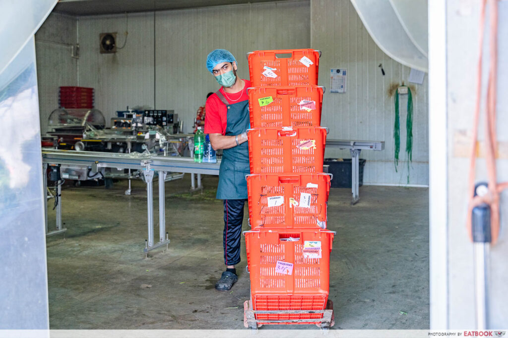 Yili Farm: Gen Z Farmers Behind Local Supermarket Veggies | Eatbook.sg