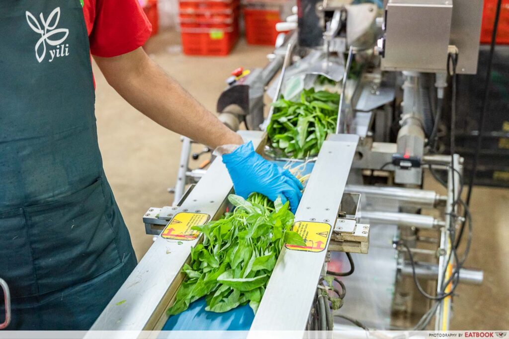 Yili Farm: Gen Z Farmers Behind Local Supermarket Veggies | Eatbook.sg
