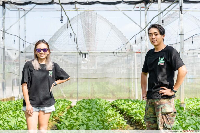 Yili Farm: Gen Z Farmers Behind Local Supermarket Veggies | Eatbook.sg
