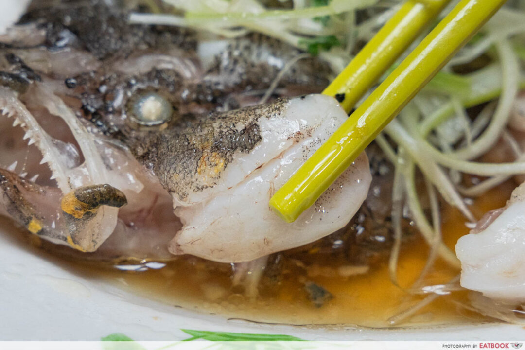 Fish Village: Cheap Steamed Fish Sets In Maxwell | Eatbook.sg