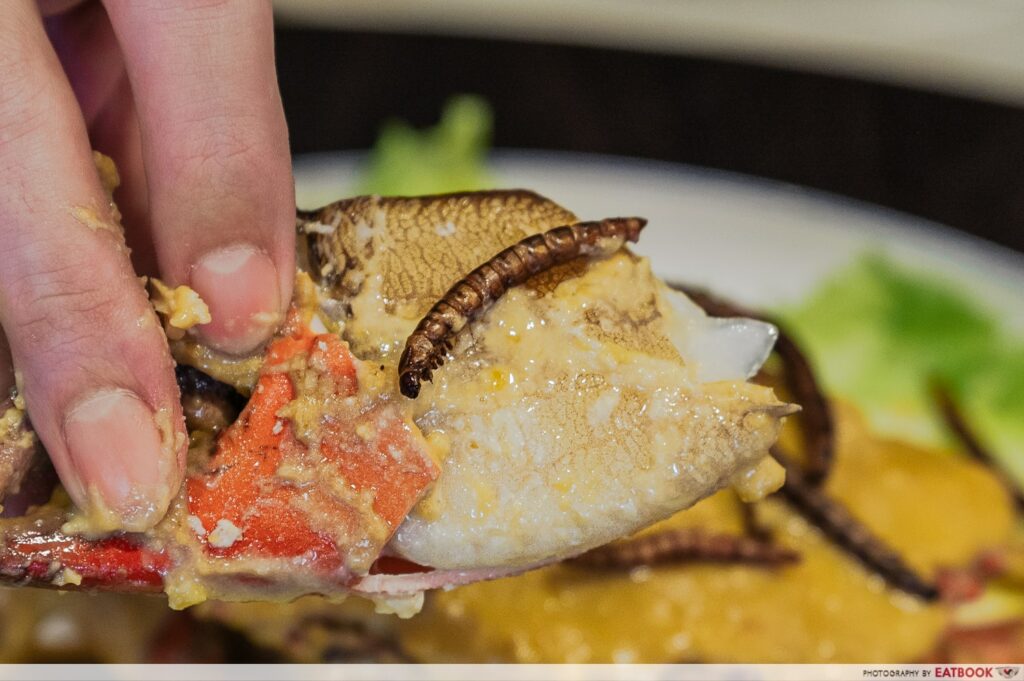 House of Seafood To Launch Insect Dishes | Eatbook.sg