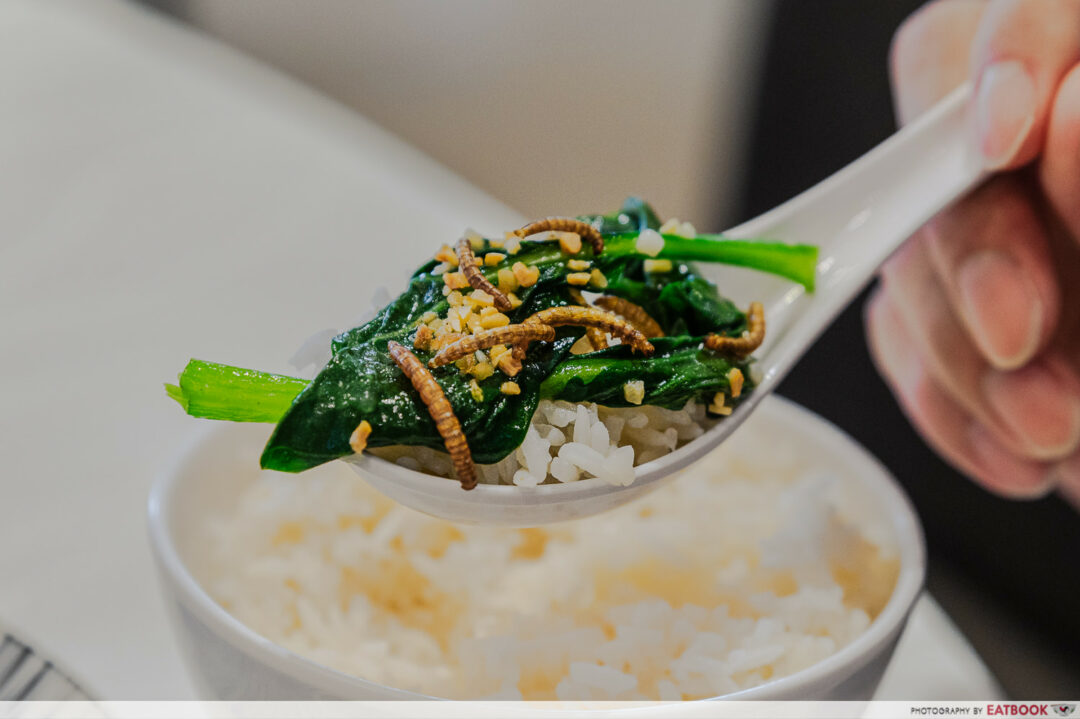 House of Seafood To Launch Insect Dishes | Eatbook.sg