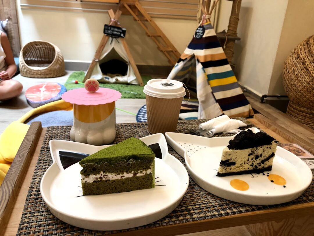 10 Best Cat Cafes In Singapore | Eatbook.sg