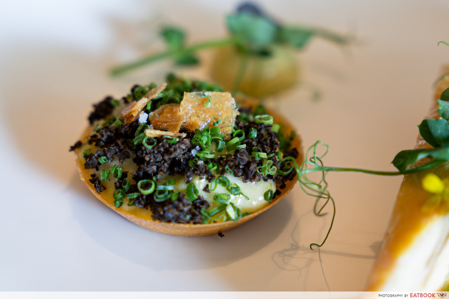 Roia Review: New Modern French Restaurant In Botanic Gardens | Eatbook.sg