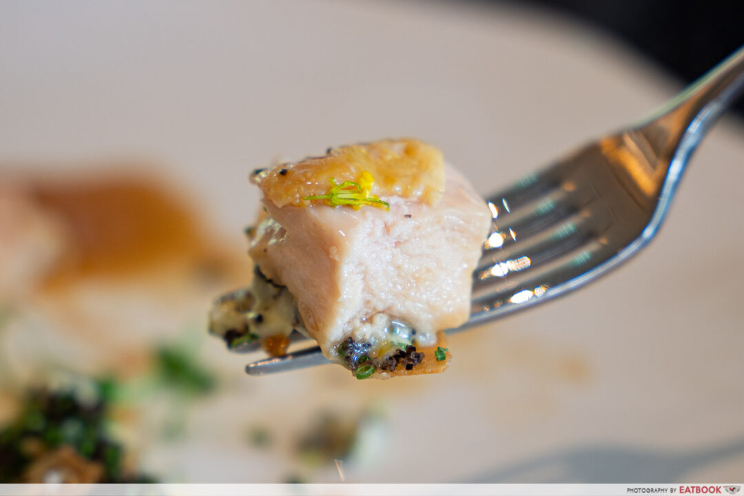 Roia Review: New Modern French Restaurant In Botanic Gardens | Eatbook.sg