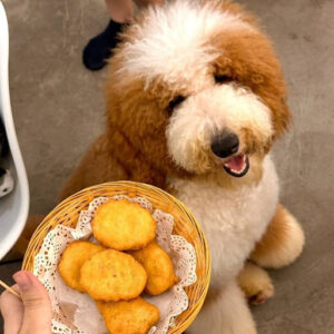 10 Best JB Dog And Cat Cafes | Eatbook.sg