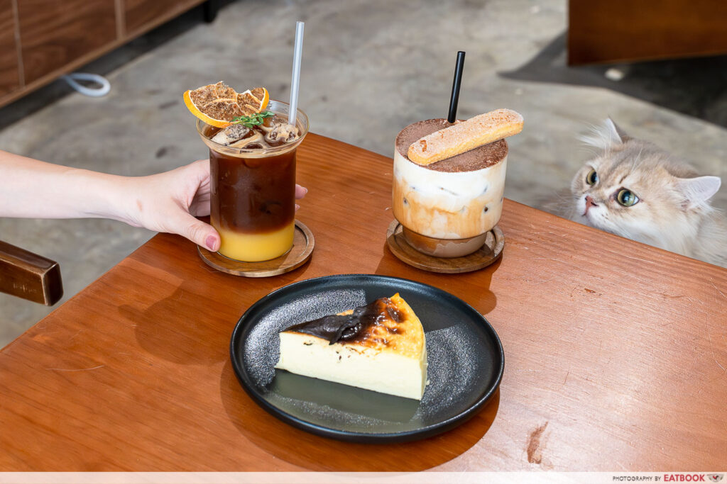 Meow Me Cat House: JB Cafe With Cats, Matcha Cheesecake And More ...