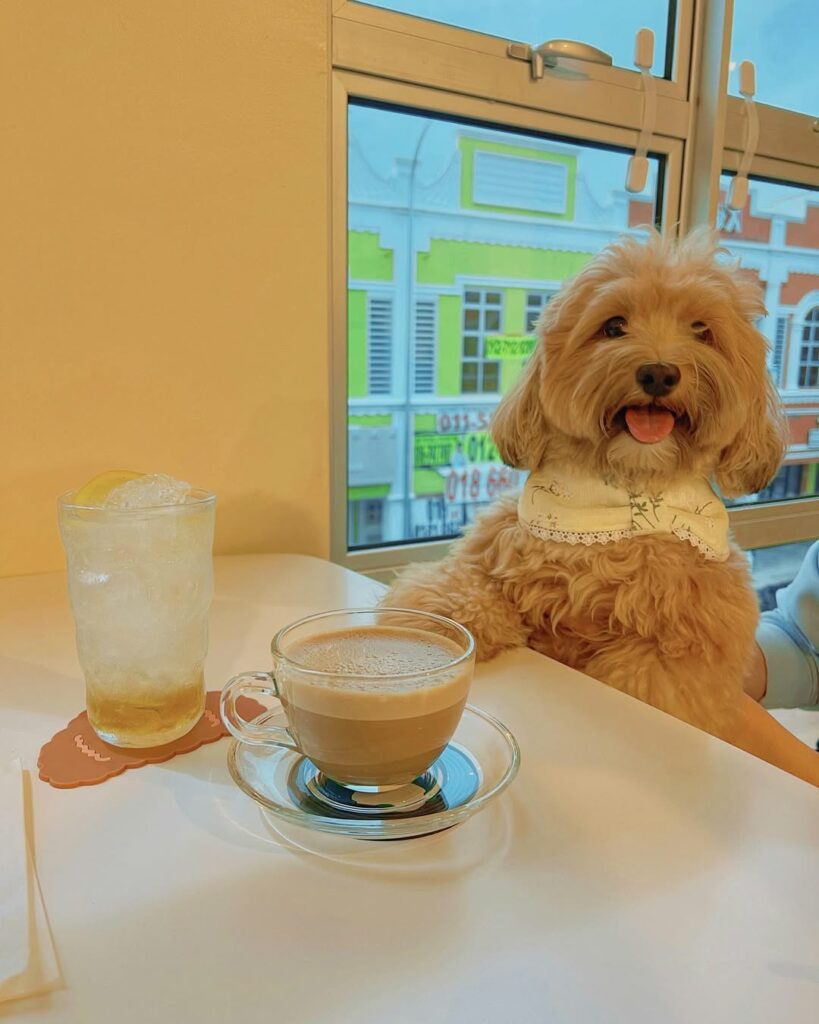 15 Best Mount Austin Cafes In Johor Bahru | Eatbook.sg