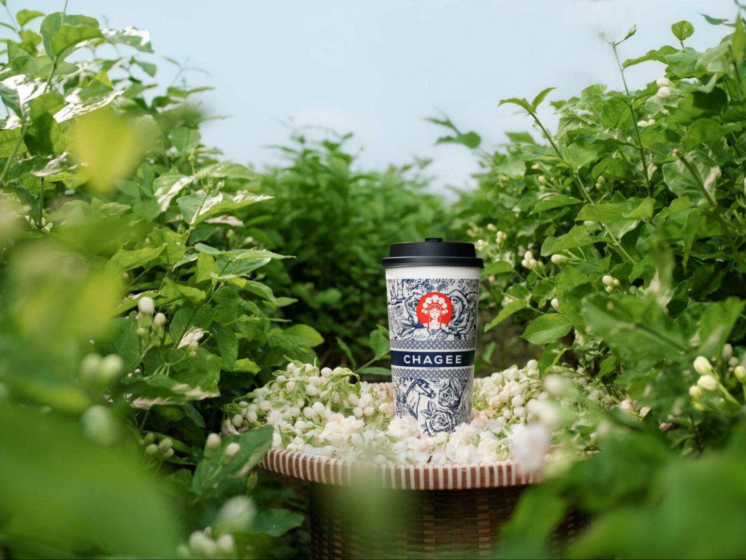 CHAGEE Announces New BO-YA Jasmine Green Milk Tea | Eatbook.sg