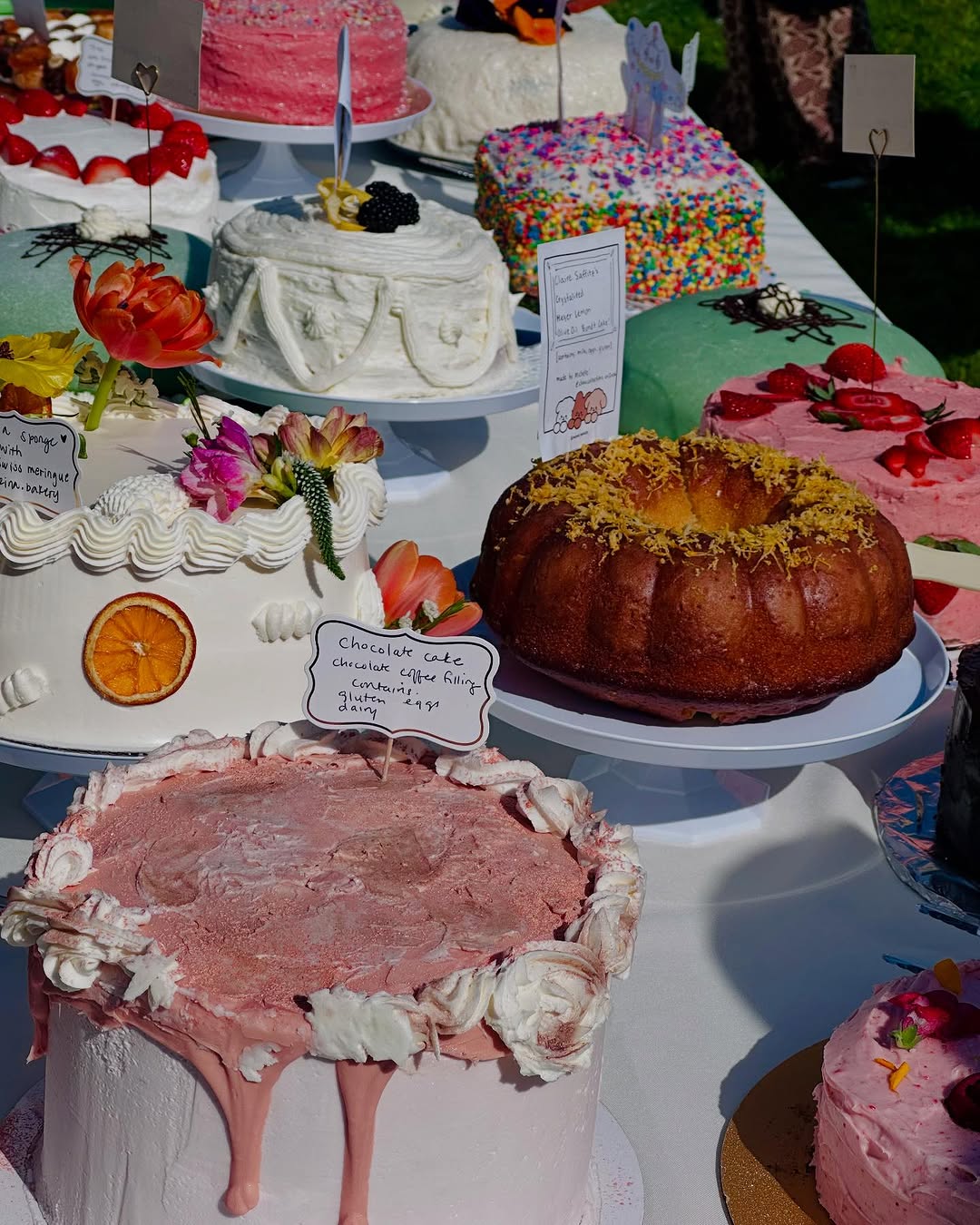 Cat Welfare Society Has A Cake Picnic On 2 Aug | Eatbook.sg