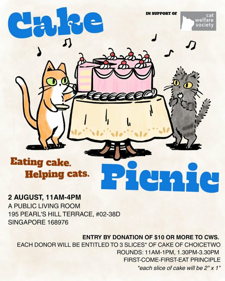Cat Welfare Society Has A Cake Picnic On 2 Aug | Eatbook.sg