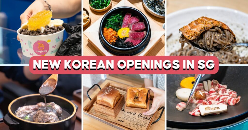 Hoodadak Korean Restaurant Review: Legit Korean Pork Soup In One-north ...